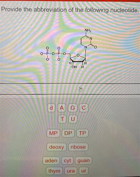 Solved Provide The Abbreviation Of The Following Nucleotide