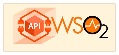 api protection and access control features in the wso2 api manager by