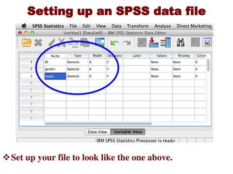 SPSS Setting up an SPSS Data File - ppt download
