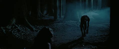 Harry Potter And The Prisoner Of Azkaban Harry Potter Image 17187689 Fanpop