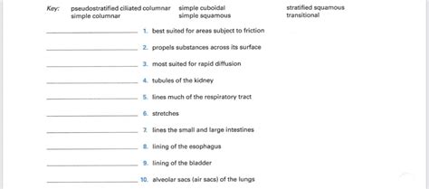 solved key pseudostratified ciliated columnar simple