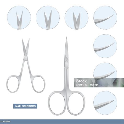 손톱가 위 다른 유형 매니큐어 및 페디큐어 관리 도구 벡터 일러스트 손톱에 대한 스톡 벡터 아트 및 기타 이미지 손톱 가위 가장자리 Istock