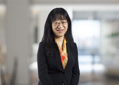 Ning Lu Covington And Burling Llp