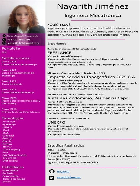 Cv Naya Pdf Mi Sql Ingeniería De Sistemas