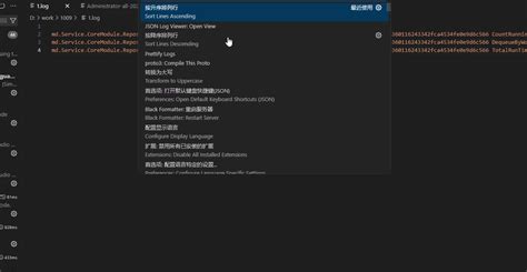 GitHub godtang vscode json log viewer 用于查看多行的json日志