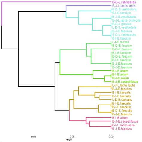 Dendrogram Of The Isolated Strains Clusters Selected By Antagonistic Download Scientific