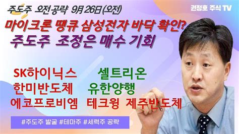 삼성전자 바닥 확인 반도체 바이오 2차전지 전략 Youtube
