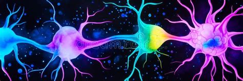 Illuminated Neural Pathways A Journey Into The Mind A Vibrant Depiction Of Interconnected