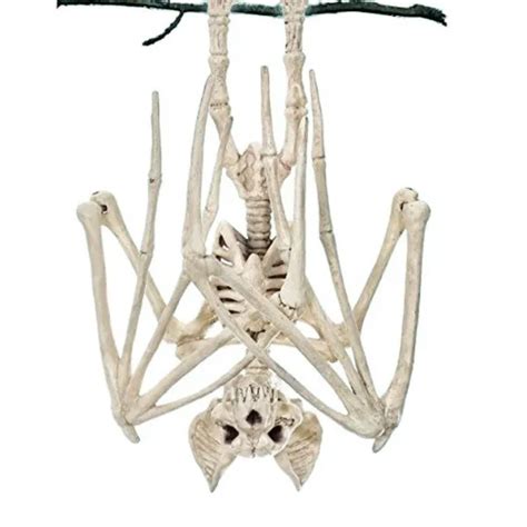 Dropship Spook Up Your Halloween Decor With This Vivid Bat Skeleton