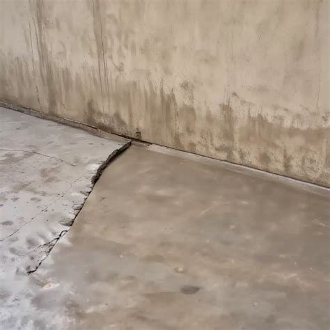waterproofing woes identifying and resolving common moisture problems