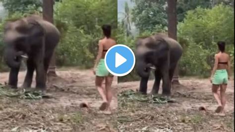 तरण हततसमर दखवत हत सटईल पण गजरजन ज कलVideo पहन महणल अस धड