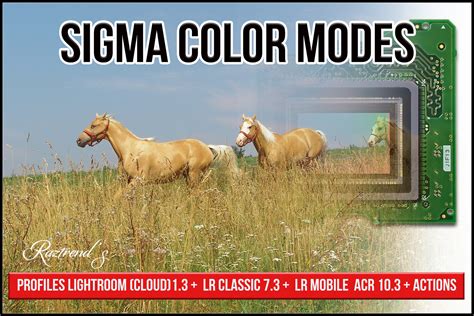 Sigma Color Modes Profiles A Plug In Add On By Raztrend