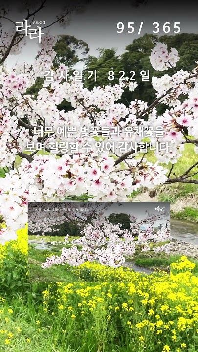 감사일기 822일 겹겹히 쌓여있던 보이지 않던 묵힌 시간들을 찬찬히 걷어낼 수 있어 감사합니다감사일기 매일 감사영상 감사 자기사랑