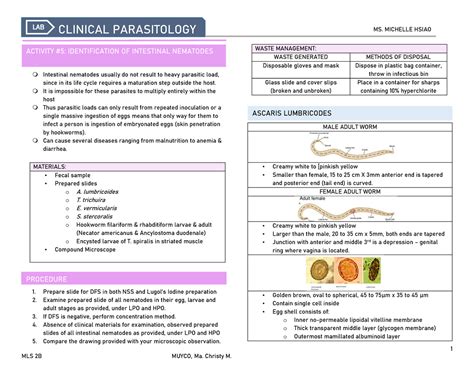 Activity 5 6 Actvities Warning Tt Undefined Function 32 Ms Michelle Hsiao 1 Clinical