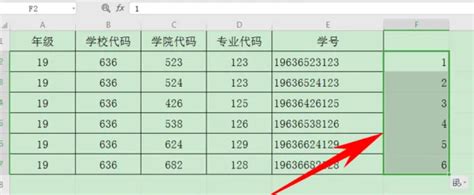 表格制作excel教程 百度经验