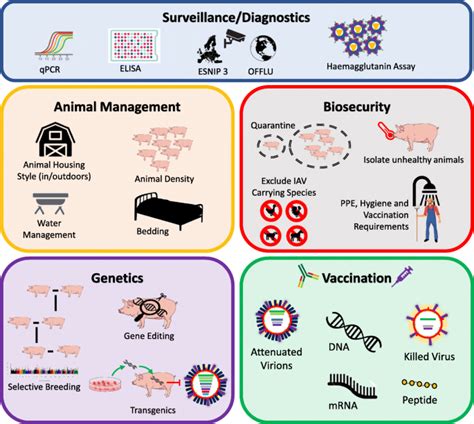 Mitigating The Spread Of Influenza In Human Populations Strategies And