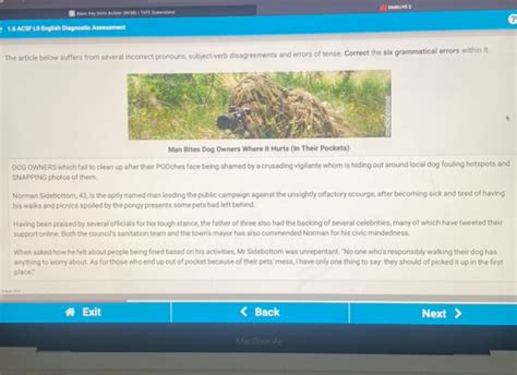 The Article Below Suffers From Several Incorrect Pronouns Subject Verb