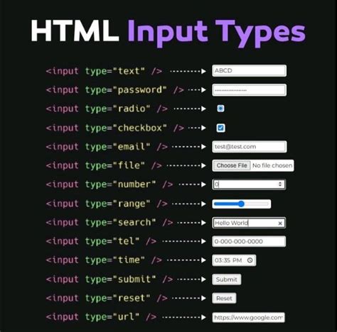 The Input Element In Html Is A Versatile And Essential Part Of Web Development And The Type