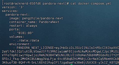 Docker搭建仍然出错502 Bad Gateway · Issue 71 · Pandora Nextdeploy · Github