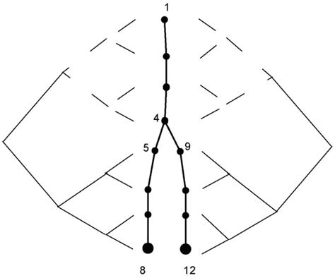 Segment Based Parallelism The Calculation For Node 8 Involves Only Download Scientific Diagram