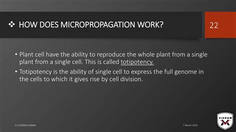 Micropropagation Of Medicinal And Aromatic Plants Clonal Propagation Pptx