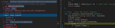 Sliver Server Crash When Connecting To Port Forwarded Sockets · Issue