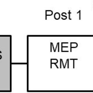 Timeline Of TMS Measurement After Pre Measurements Patients NS And Download Scientific