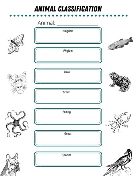 Animal Classification Worksheet Animal Classification Worksheet For