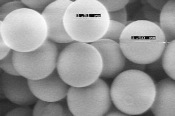 Plain Silica Nanospheres And Microspheres