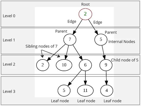 Tree Cs Notes