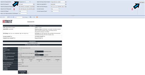 Assessment Report Mycsf 20 1