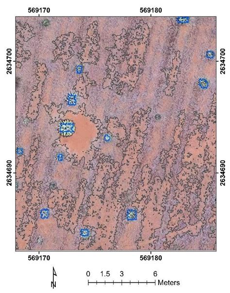 Segmentation Of The Image Of An Agave Agave Durangensis Crop By The