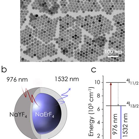 Structure And Properties Of Er³⁺ Doped Core Shell Nanoparticles A Download Scientific
