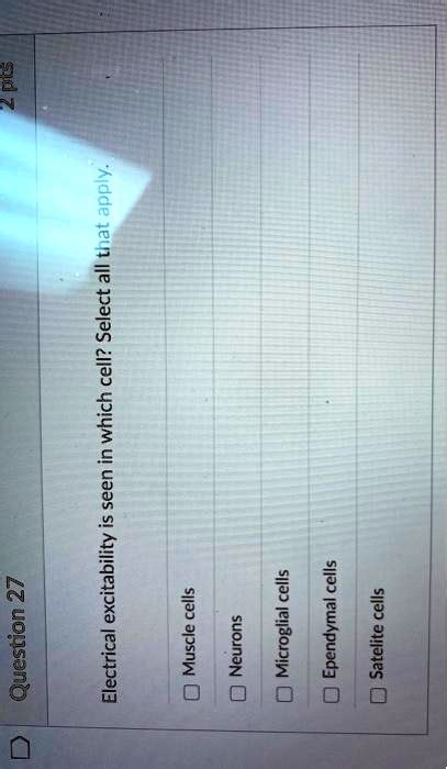 Question 27 Electrical Excitability Is Seen In Which Cell Select All