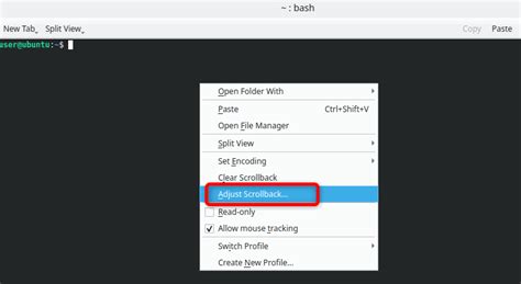 How To Increase Scrollback Buffer Size Of The Terminal Emulators In Linux Make Tech Easier