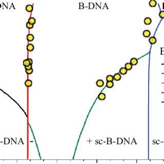 DNA Phase Diagram Solid Curves Indicate Transition Boundaries Between Download Scientific