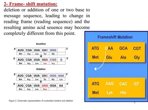 Genetic Code Ppt