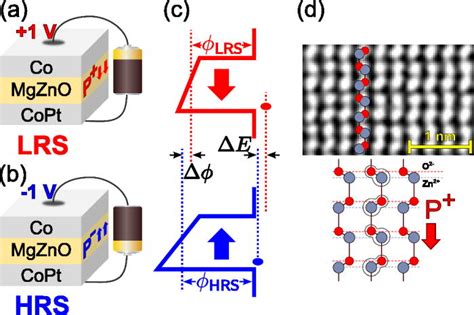 Tunneling Electroresistance Of Mgzno Based Tunnel Junctions Applied