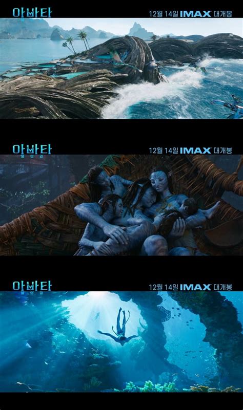 13년 만에 컴백…아바타 물의 길 스크린서 펼쳐진 상상 이상의 경험 텐아시아