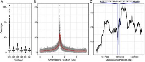 Dna From Vesicles Of D Shibae Was Enriched For The Region Around The