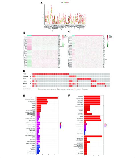 Differential Genetic Analysis Box Plots Indicate Genes That Are Download Scientific Diagram