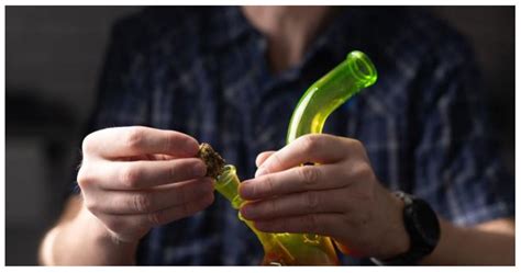 Employees Are Cheating On Workplace Drug Tests At Record Rates And Legalizing Cannabis May Be