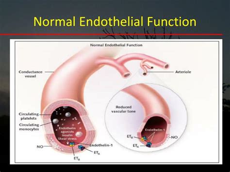 Ppt Introduction Of Current Development And Concept Cardiovascular