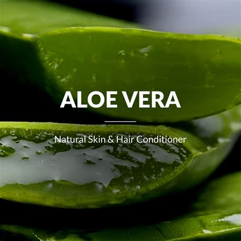 Experience The Power Of 100 Pure Aloe Vera Gel With Vitamin E Unlock