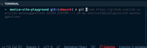 Setting Up Shell With Zsh And Autosuggestions
