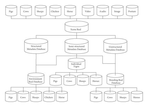 Data Manager Structure Diagram Download Scientific Diagram