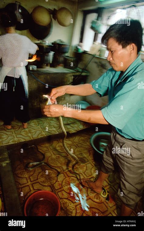 Snake Is Skinned Alive At A Hanoi Restaurant Blood Heart And Genitals At Right Are Thought To