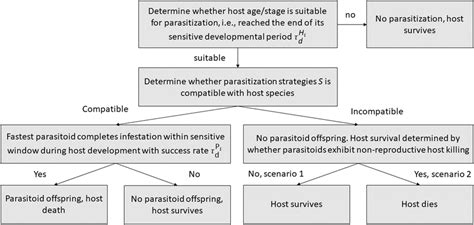 Stages Of Host Exploitation By Parasitoid Wasps Parasitization And