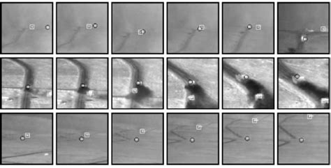 Target Tracking In Video Acquired Using Moving Flir Sensors Center For Research In Computer Vision