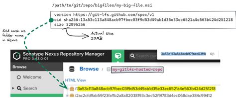 Setup Git Lfs With Nexus As Backend Julius Gamanyi